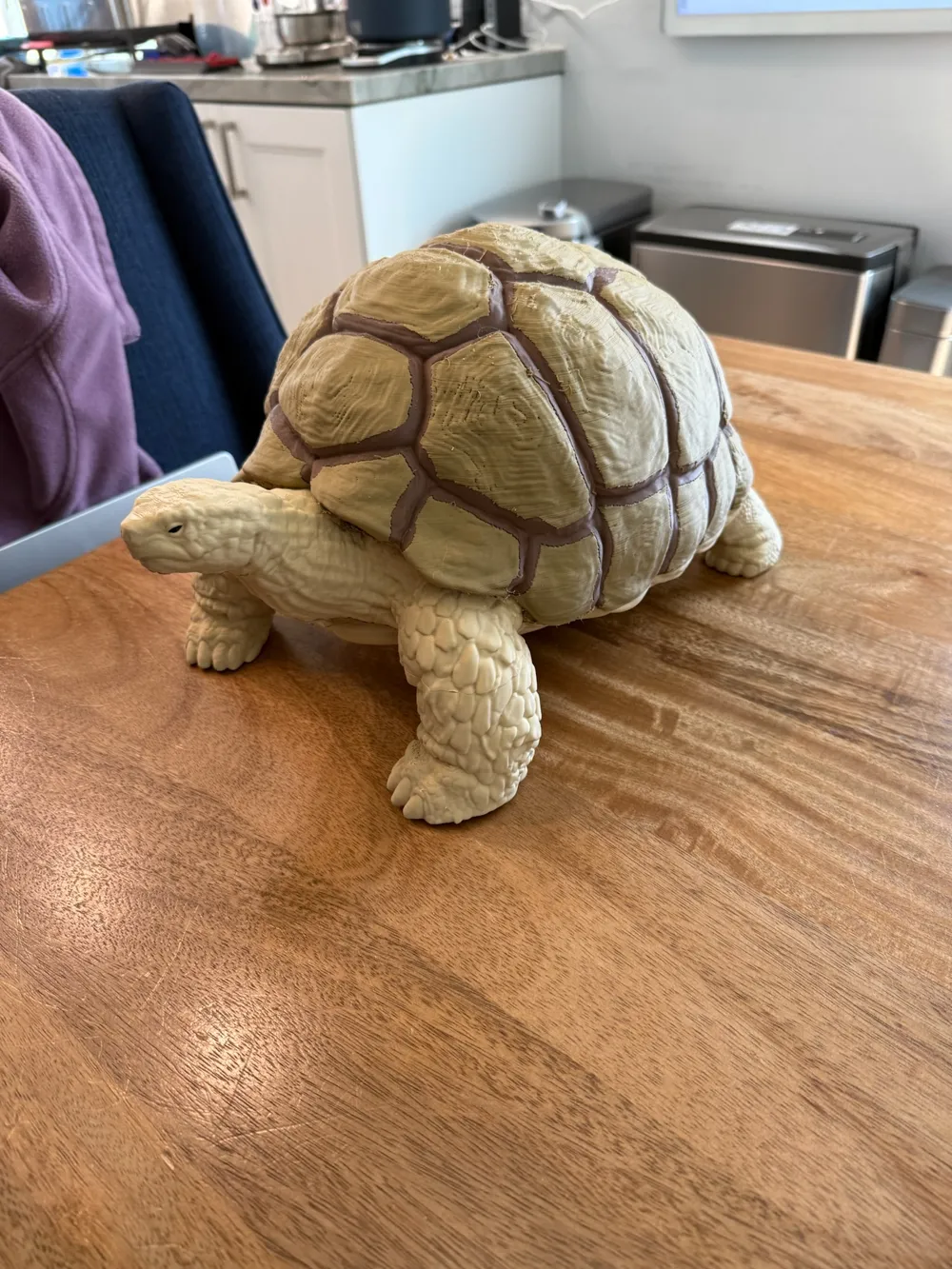 Giant Tortoise - High Detail by beach master MakerWorld: Download Free ...