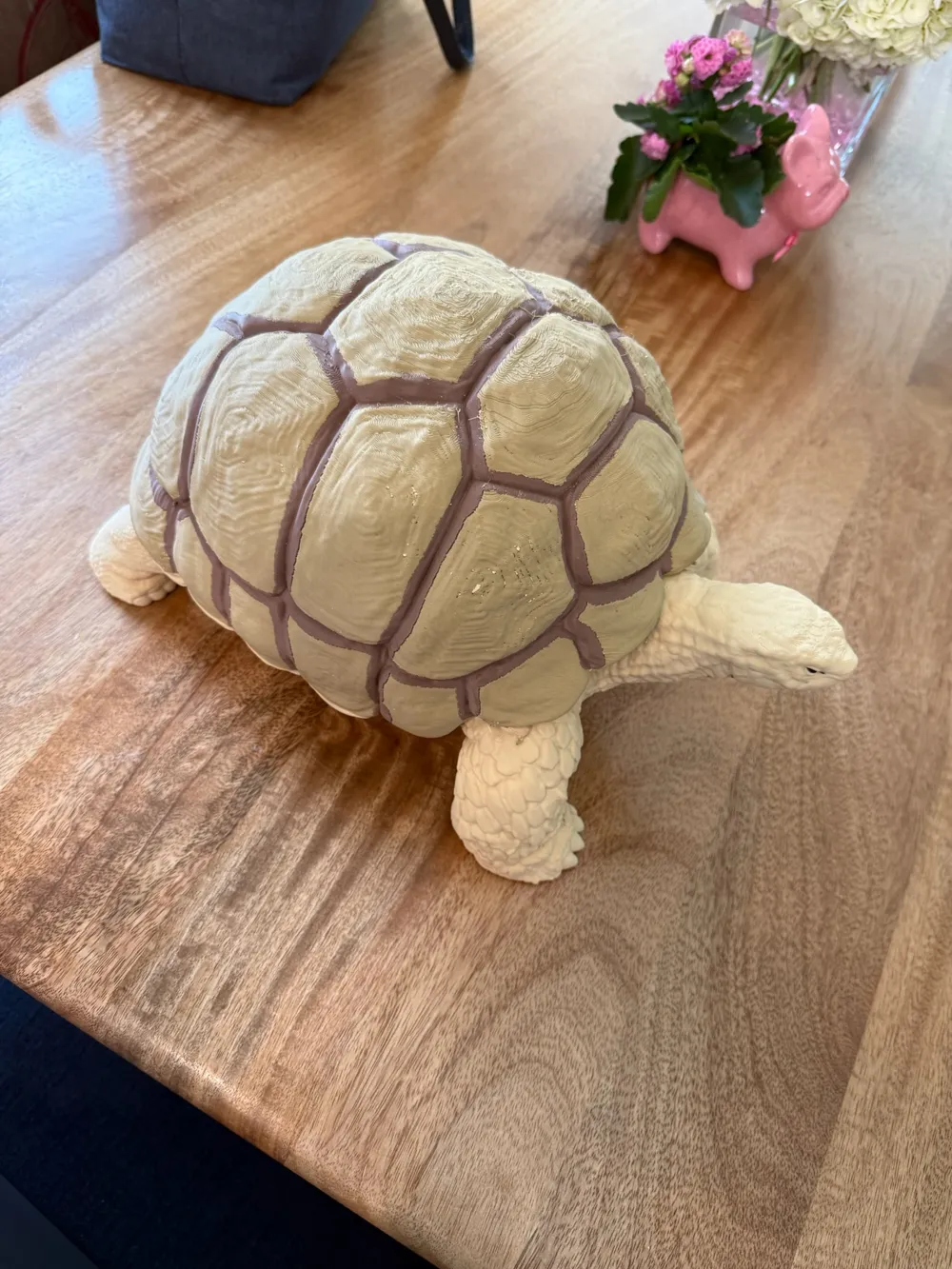 Giant Tortoise - High Detail by beach master MakerWorld: Download Free ...