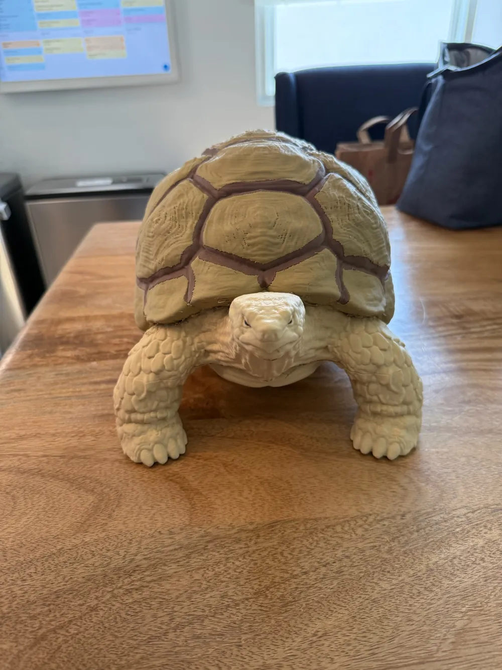 Giant Tortoise - High Detail by beach master MakerWorld: Download Free ...