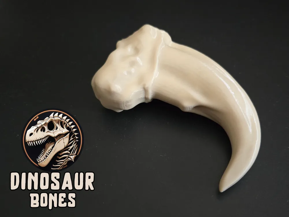 Velociraptor * Bone Claw * - Free 3D Print Model - MakerWorld