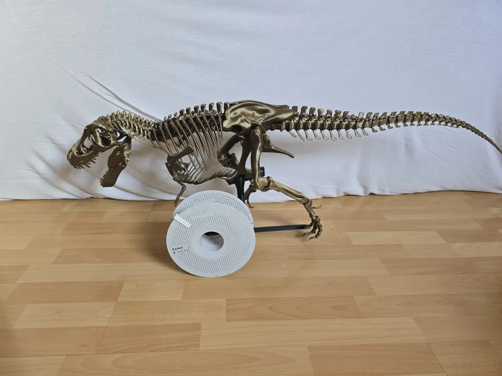 Tyrannosaurus rex accurate scale model - Free 3D Print Model - MakerWorld