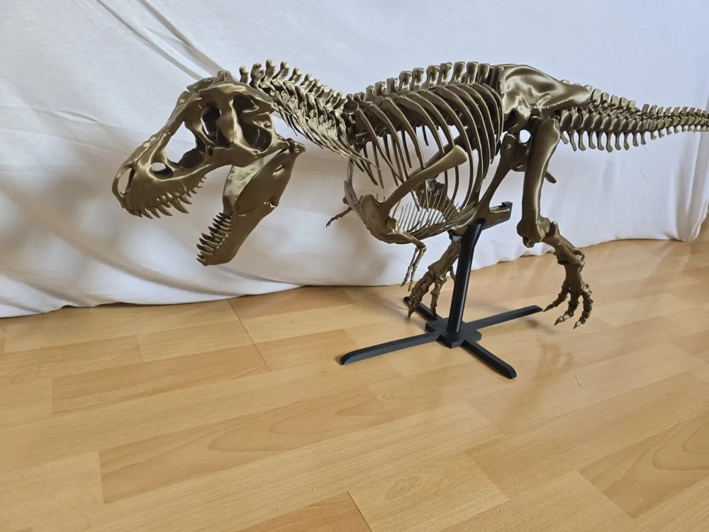 Tyrannosaurus rex accurate scale model - Free 3D Print Model - MakerWorld