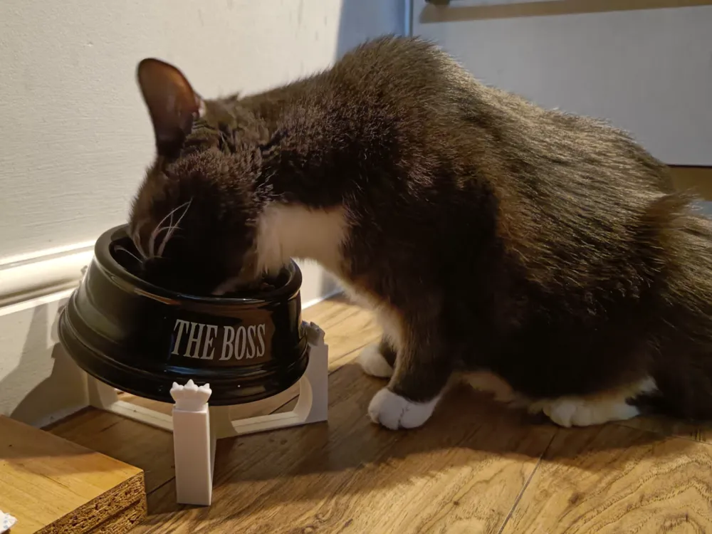 Pet Bowl Raiser by Miner On Demand - MakerWorld