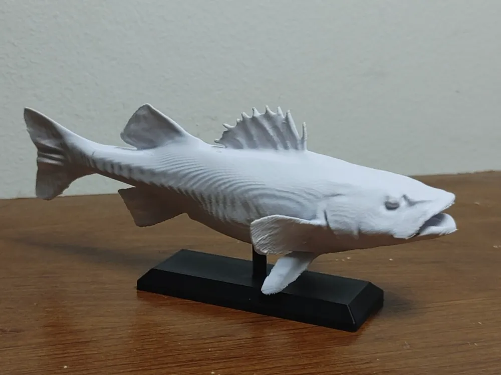 Walleye Fish Mount by Fish Prints MakerWorld: Download Free 3D Models