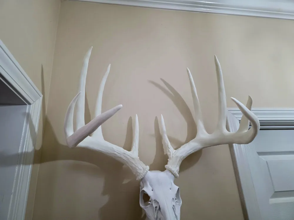 全尺寸鹿角套装 #1 适用于子弹锚点系统 - 免费 3D 打印模型 - MakerWorld