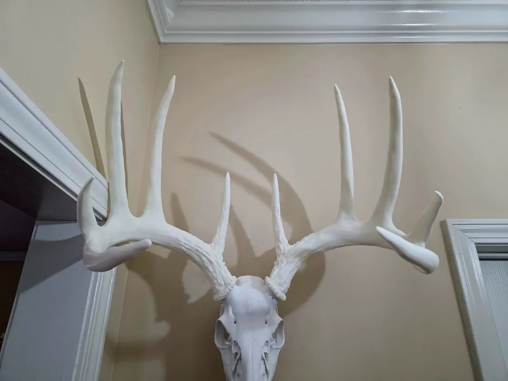 Full Size Antler Set #1 for Bullet Anchor System - Free 3D Print Model ...