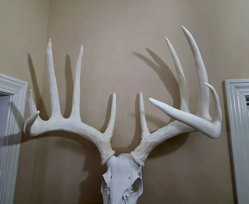 Full Size Antler Set #1 for Bullet Anchor System - Free 3D Print Model ...