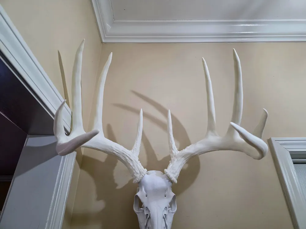 全尺寸鹿角套装 #1 适用于子弹锚点系统 - 免费 3D 打印模型 - MakerWorld