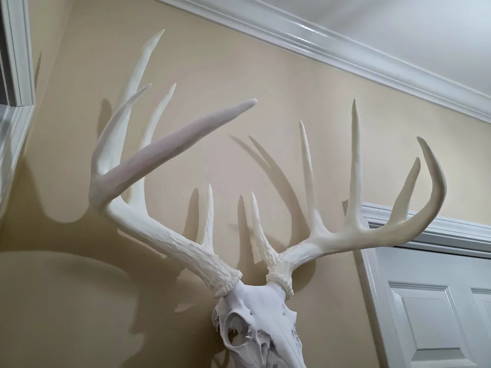 全尺寸鹿角套装 #1 适用于子弹锚点系统 - 免费 3D 打印模型 - MakerWorld