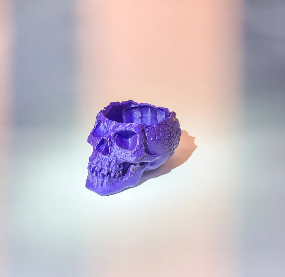 Scull Bowl - Free 3D Print Model - MakerWorld