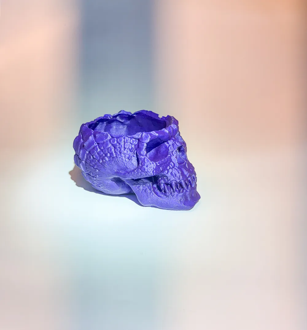 Scull Bowl - Free 3D Print Model - MakerWorld