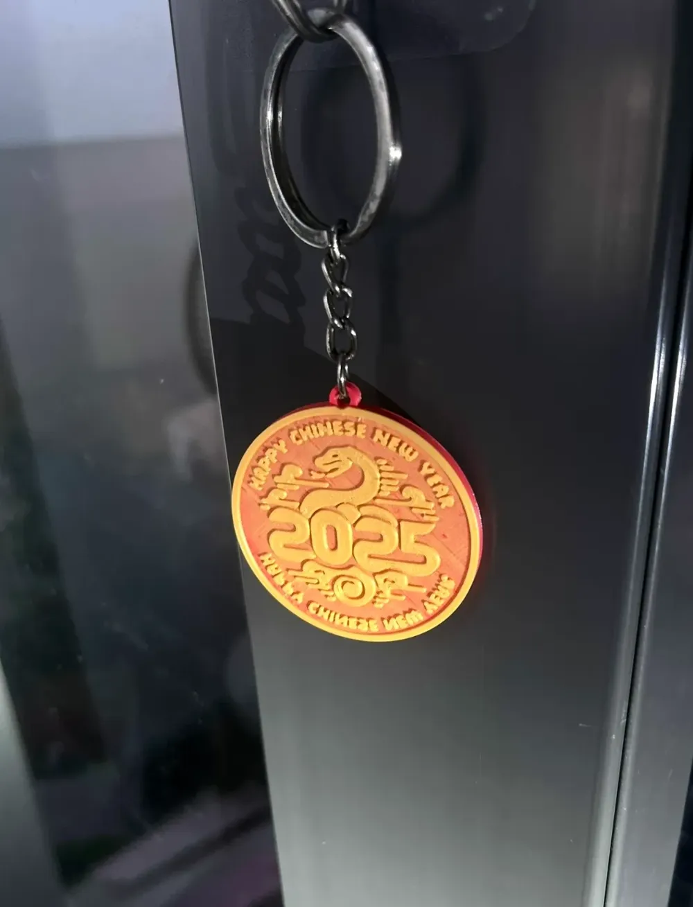 Year of the Snake New Spring Fortune Coin Keychain/Bag Charm/2025 ...