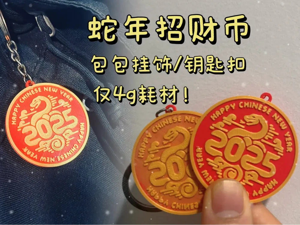 Year of the Snake New Spring Fortune Coin Keychain/Bag Charm/2025 ...