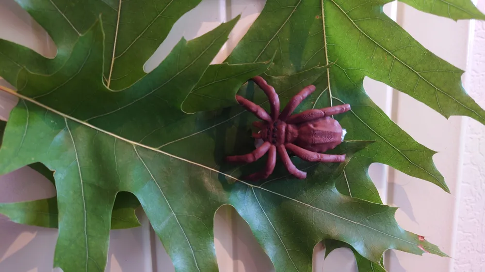 Geocaching Spider Cache Box, Magnetic Remixed by To-Bi MakerWorld ...