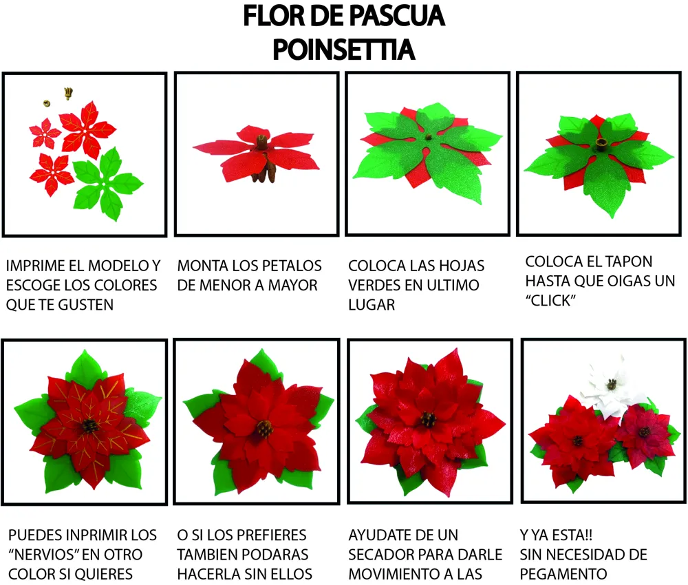Poinsettia (poinsettia) - Free 3D Print Model - MakerWorld