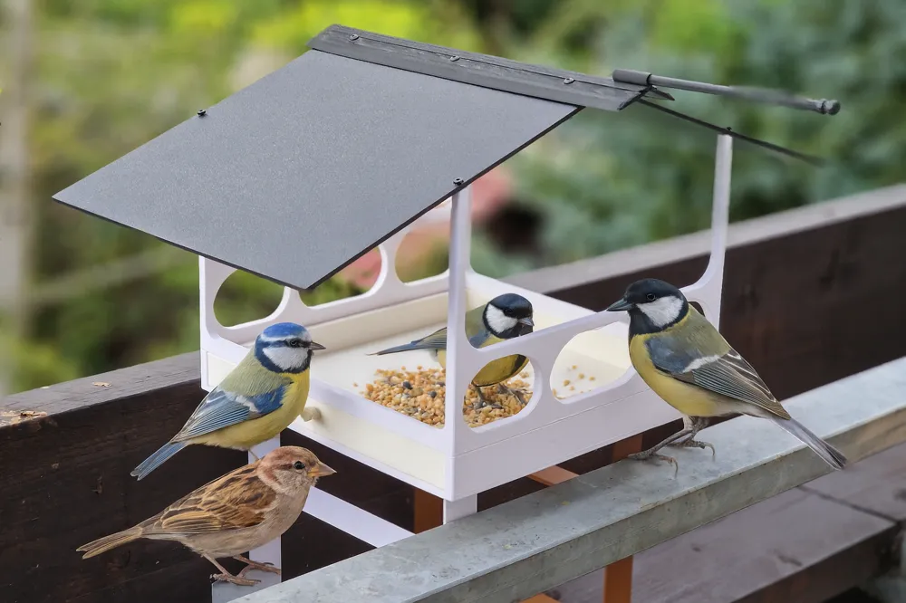 Bird Feeder with Drawer - Free 3D Print Model - MakerWorld
