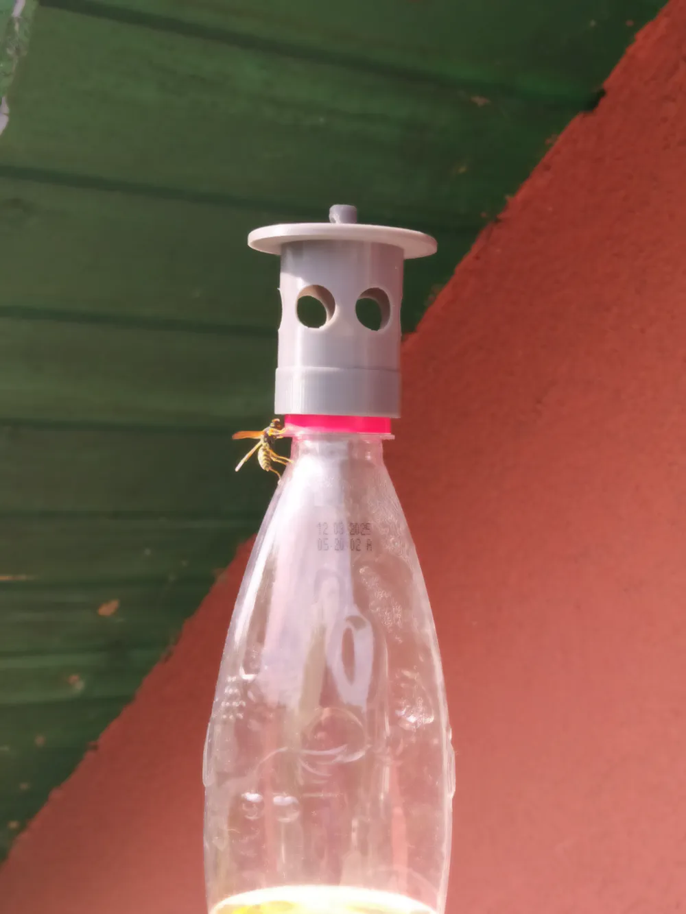 Bottle wasp trap - Free 3D Print Model - MakerWorld