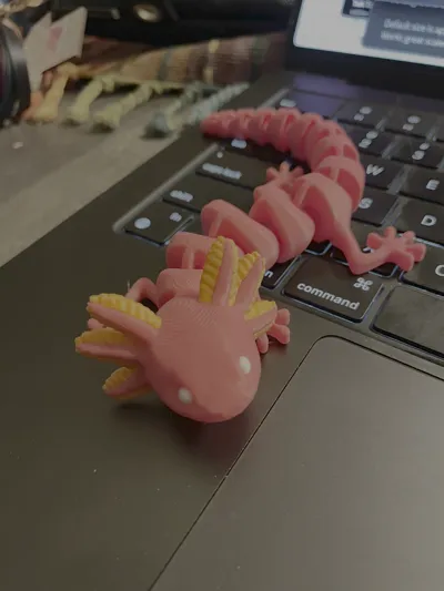 Articulated Axolotl (Multicolor) Remixed by Molodos MakerWorld: Download Free 3D Models