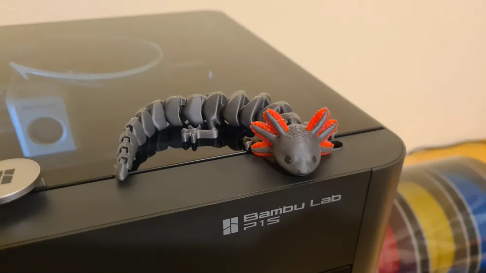 Axolotl articulado (multicolor) Remezclado por Molodos MakerWorld: Descarga Modelos 3D Gratuitos