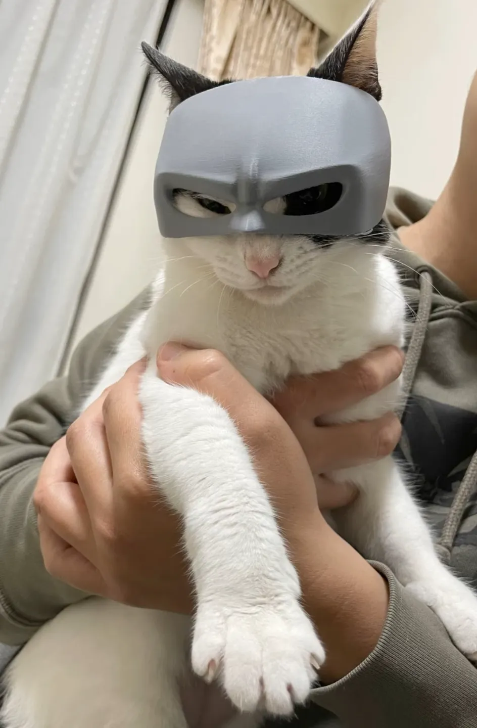 Casco de Batman para gato por Rex - MakerWorld