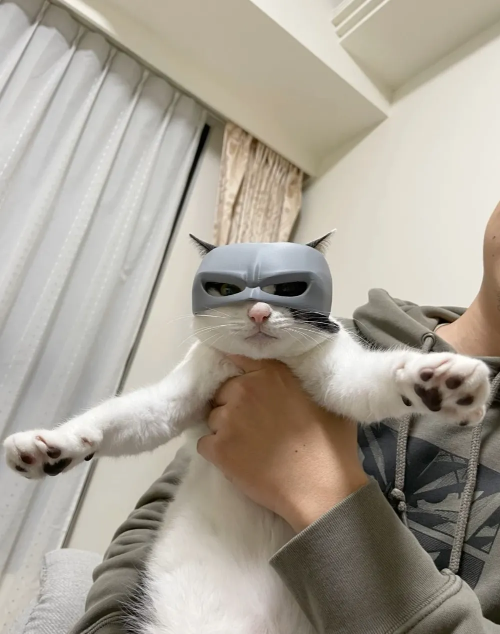 Casco de Batman para gato por Rex - MakerWorld