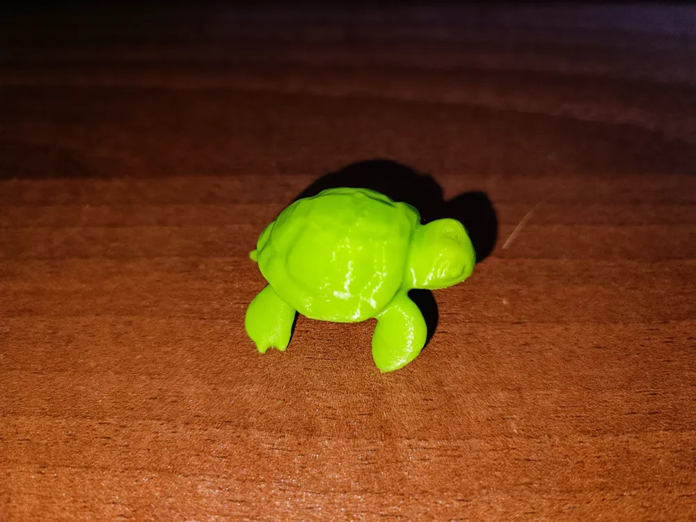 Turtle by doublepumpkin30 - MakerWorld