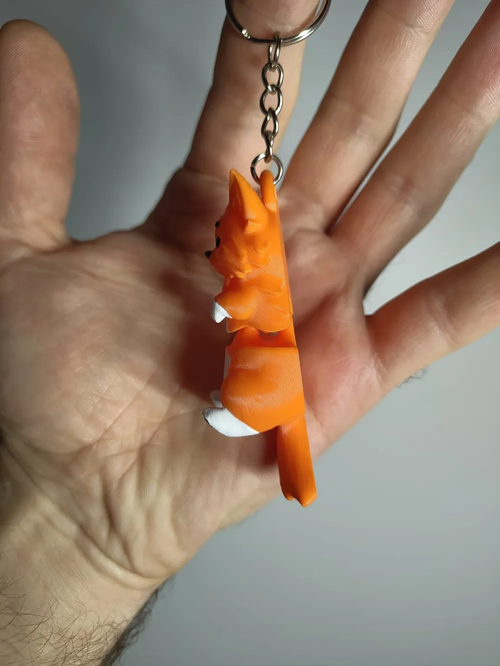 Maine Coon Articulated Flexi Cat Keychain - Free 3D Print Model ...