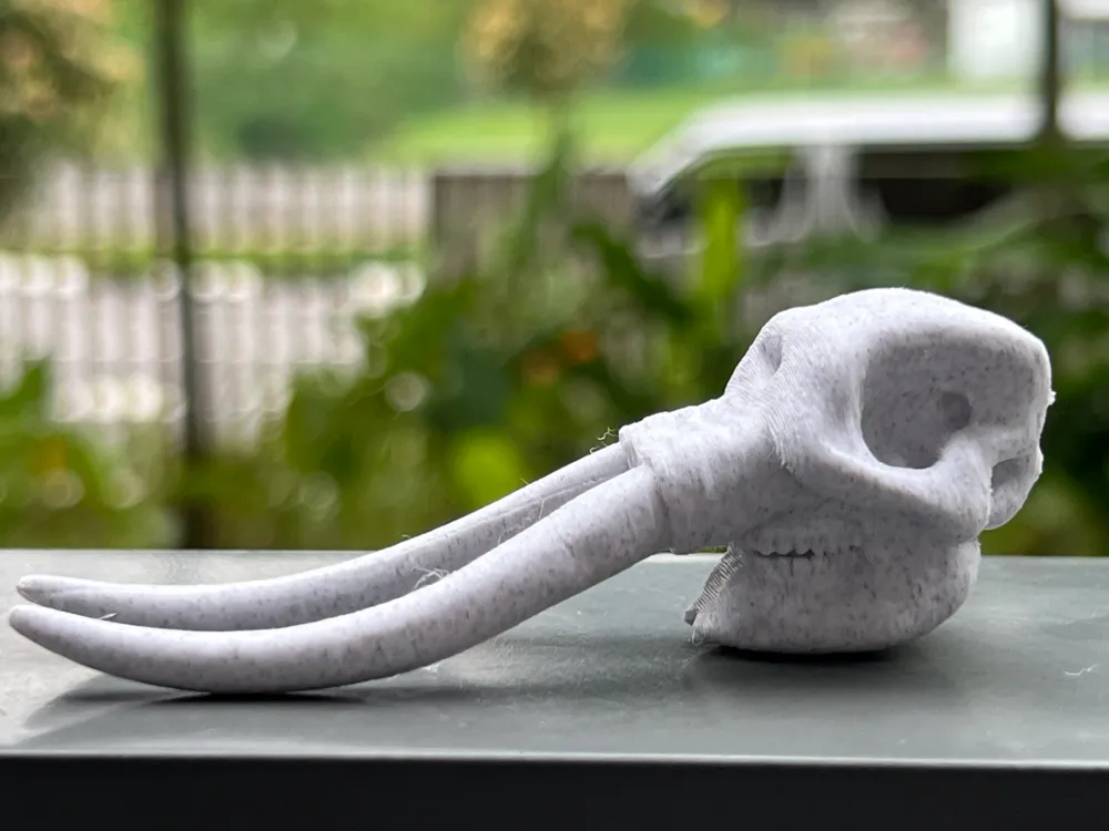 Prehistoric Animal Skull Fossils - Free 3D Print Model - MakerWorld