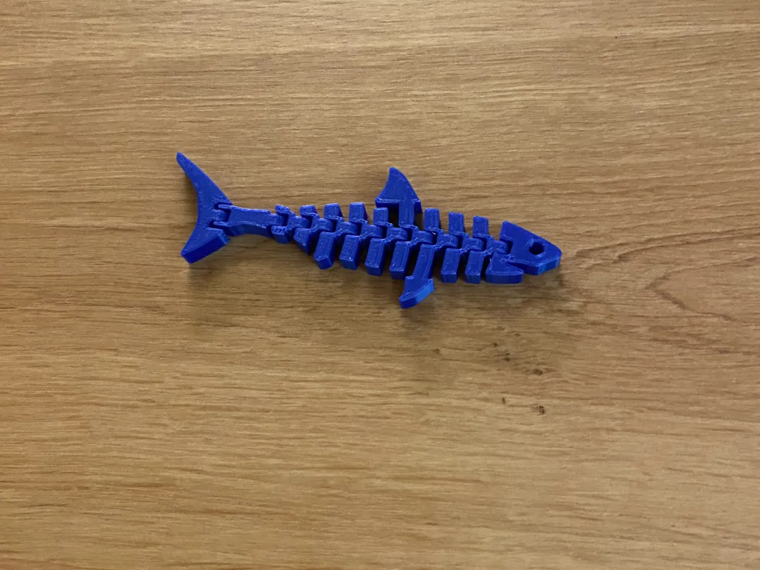 Flexi-Hai – Kostenloses 3D-Druckmodell – MakerWorld