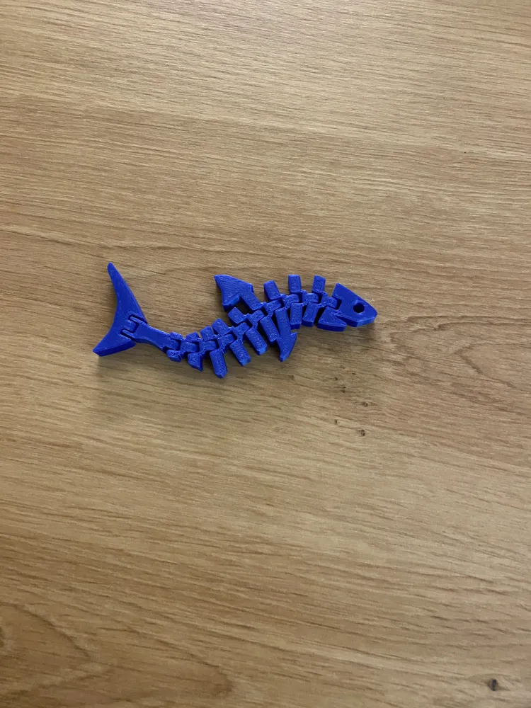 Flexi-Hai – Kostenloses 3D-Druckmodell – MakerWorld