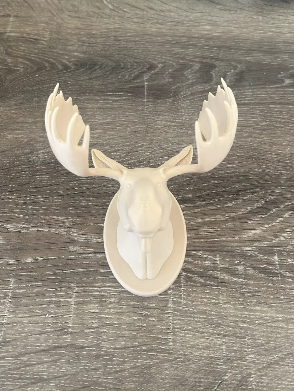 Moose head trophy - Free 3D Print Model - MakerWorld