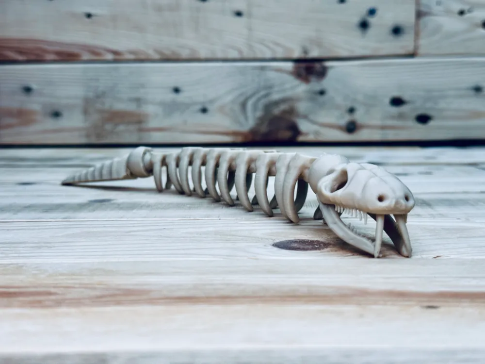 Mini Snake Skeleton by ENIQUE3D MakerWorld: Download Free 3D Models