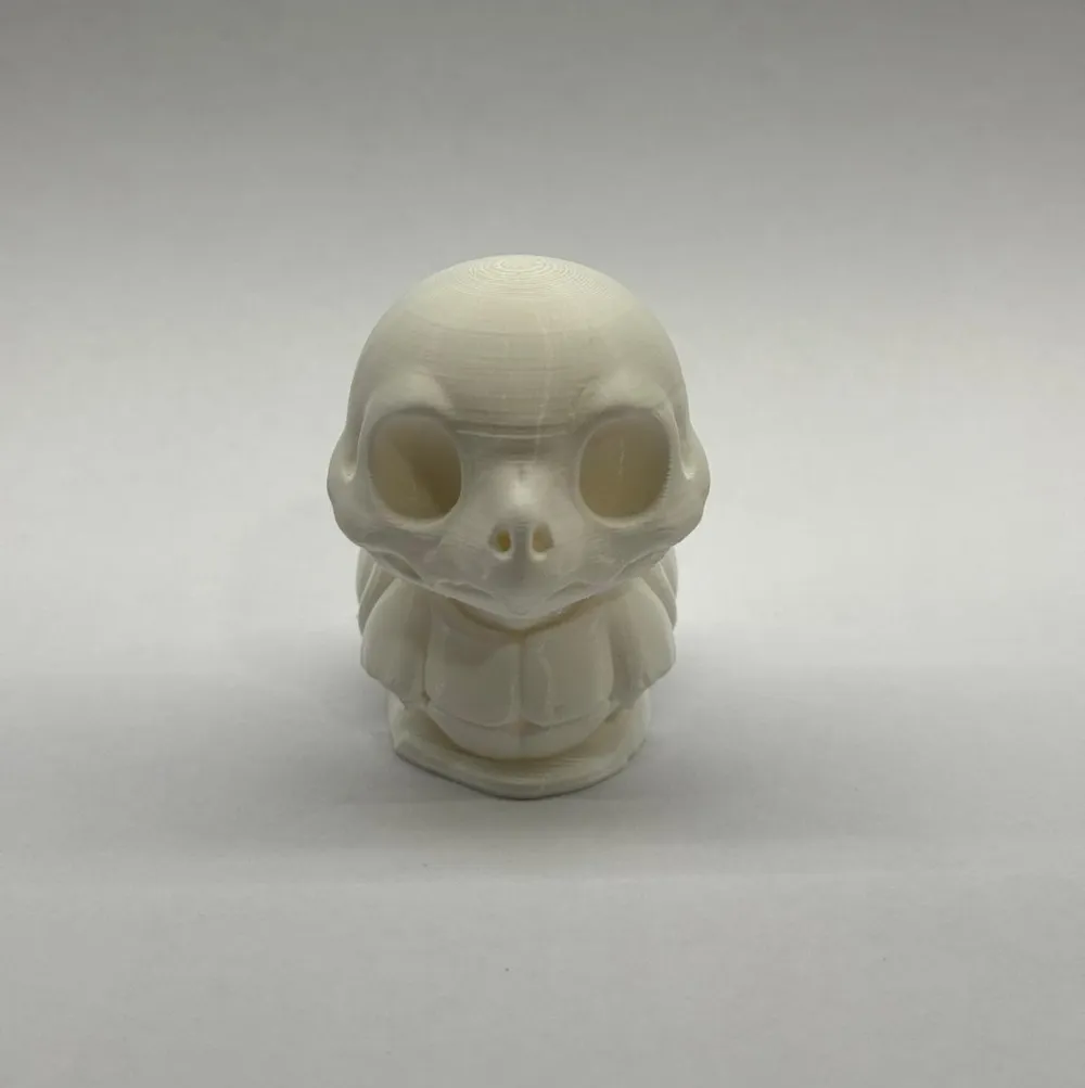 Squirtle (Pokemon) Realistic Skull by Chofu01 MakerWorld: Download Free ...