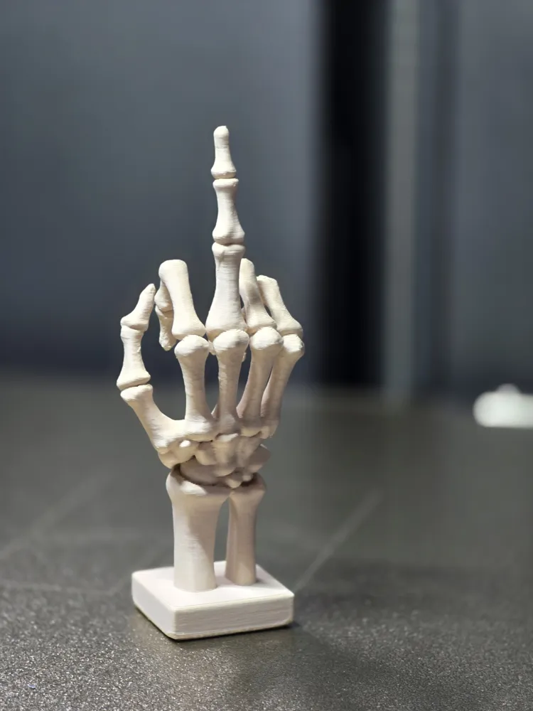 Middle Finger - Free 3D Print Model - MakerWorld