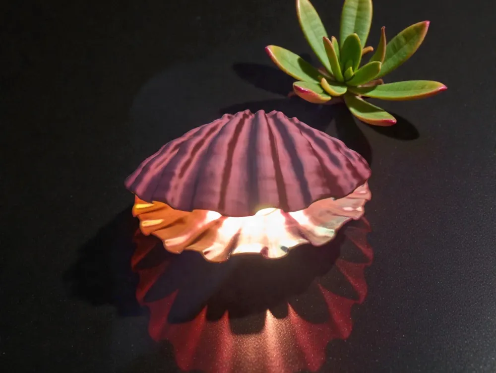 shell lamp - Free 3D Print Model - MakerWorld