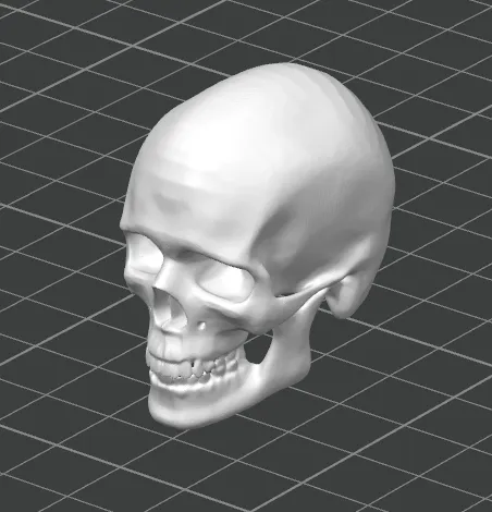 Last filament human skull (10-688 Grams) - Free 3D Print Model - MakerWorld