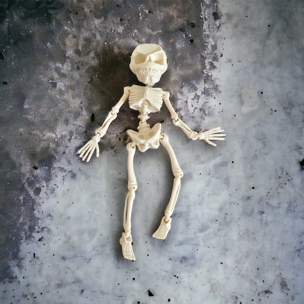 Articulated Skeleton - High Detail - Free 3D Print Model - MakerWorld