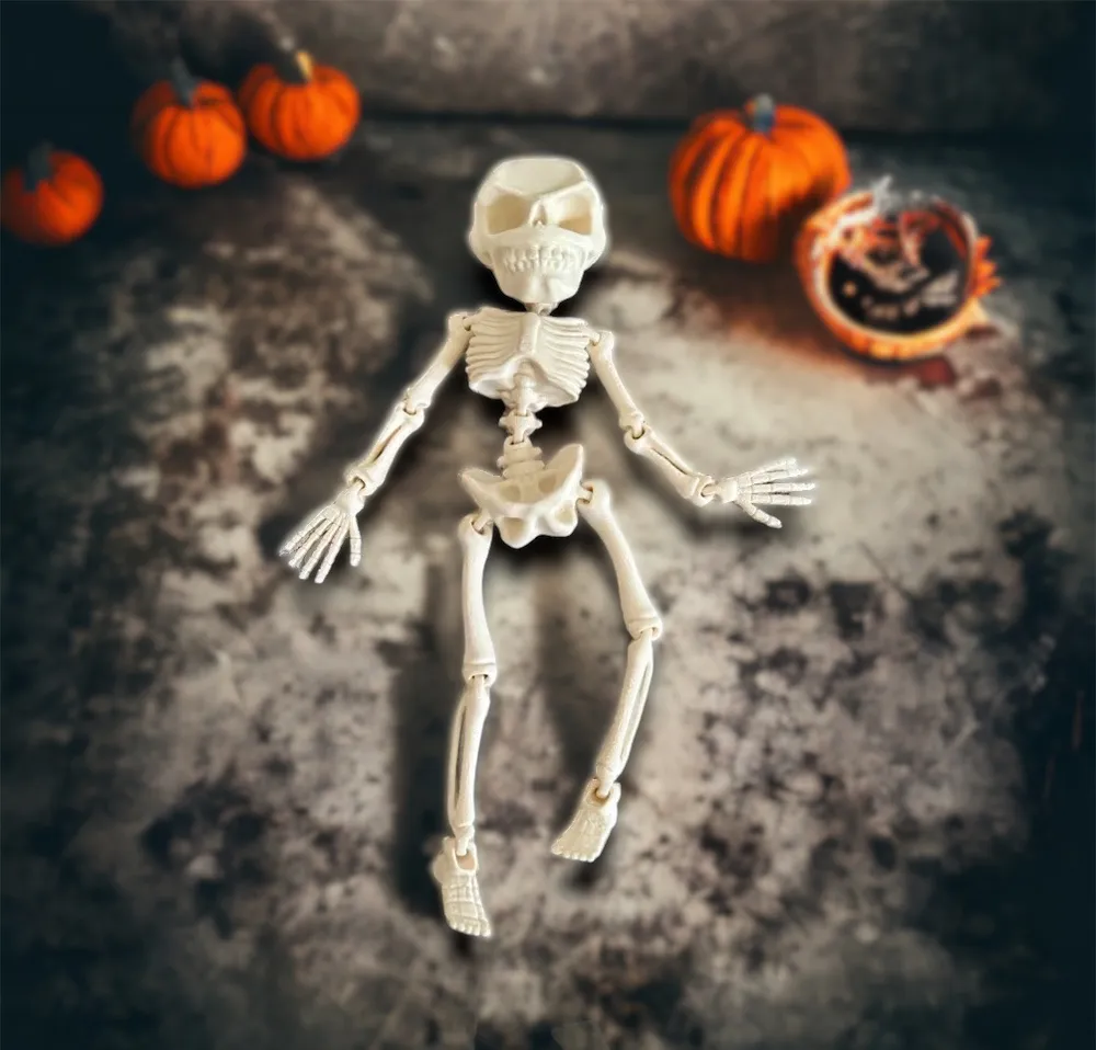 Articulated Skeleton - High Detail - Free 3D Print Model - MakerWorld