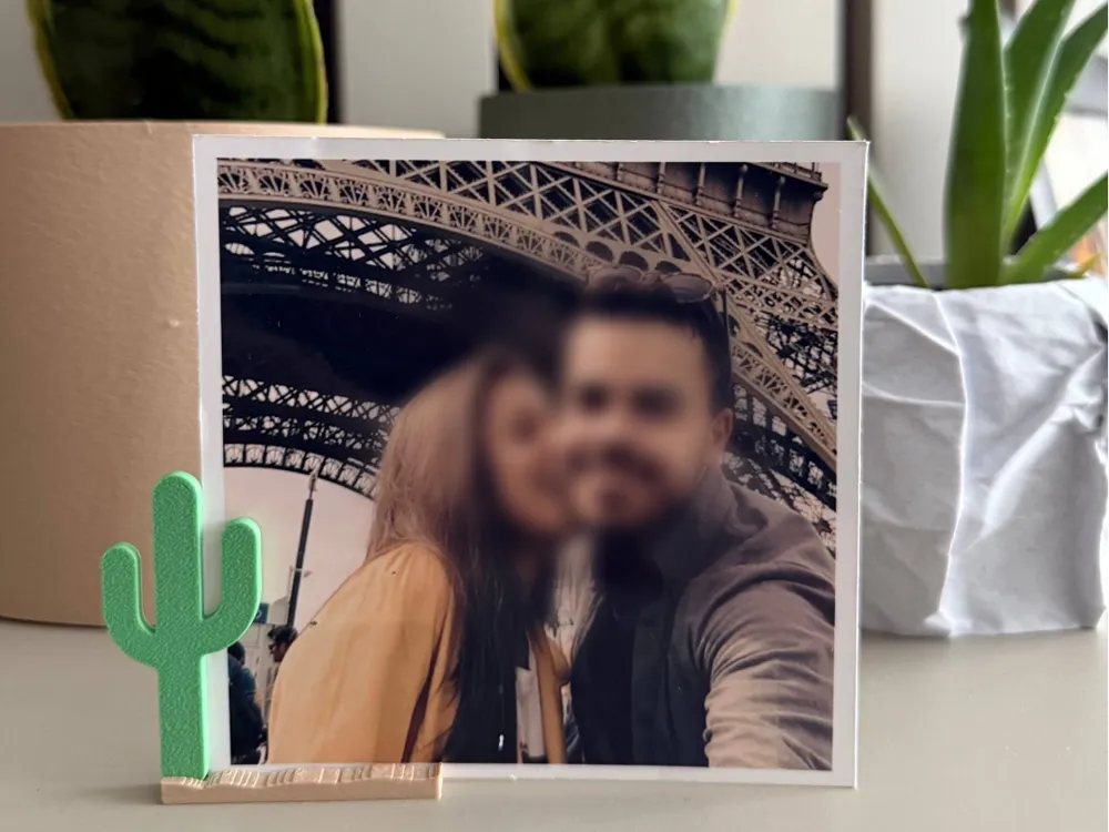 Cactus Photo Booth Stand | Desert Selfie Prop by israpalomar MakerWorld ...