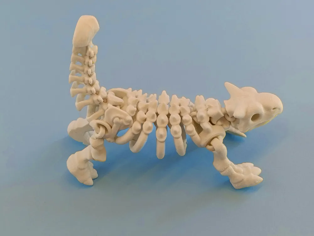 articulated skeleton ankylosaurus dinosaur - Free 3D Print Model ...