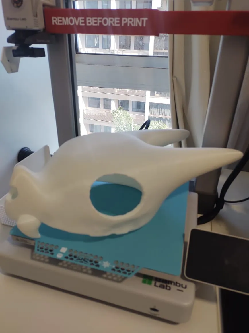 King Skull Cap - Free 3D Print Model - MakerWorld