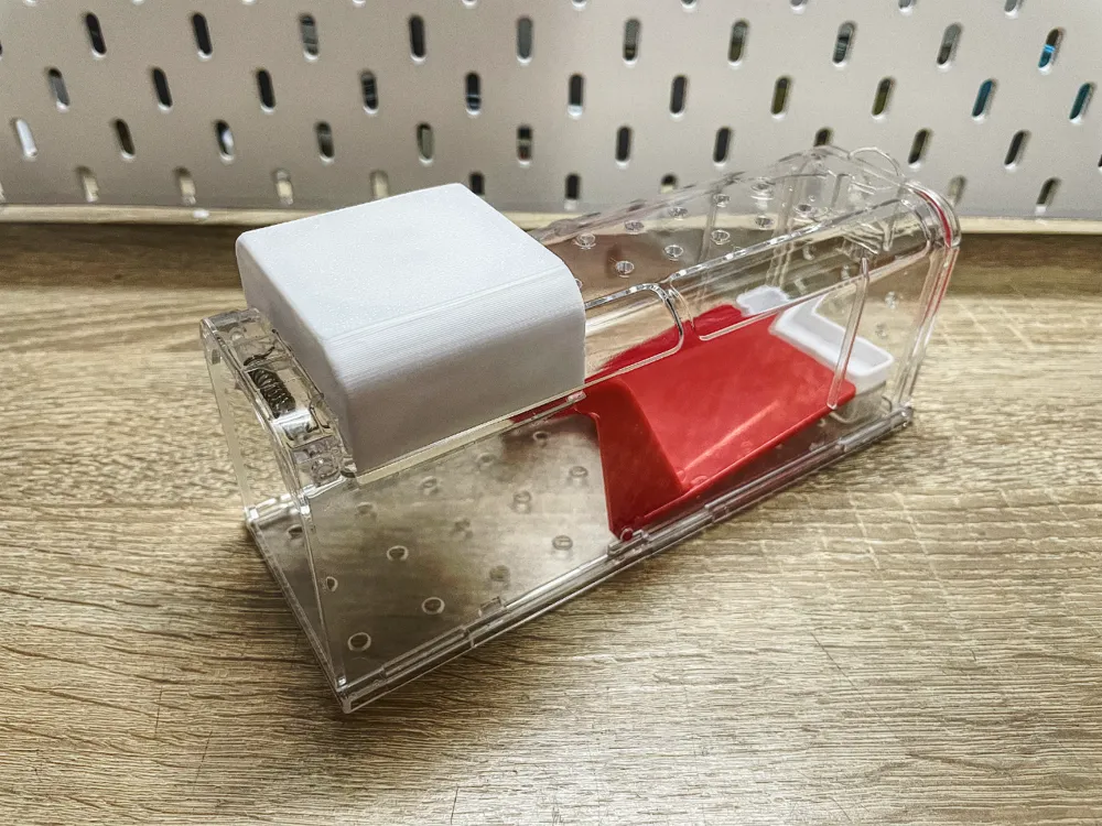 Smart Humane Mouse Trap by Print in 3D MakerWorld: Download Free 3D Models