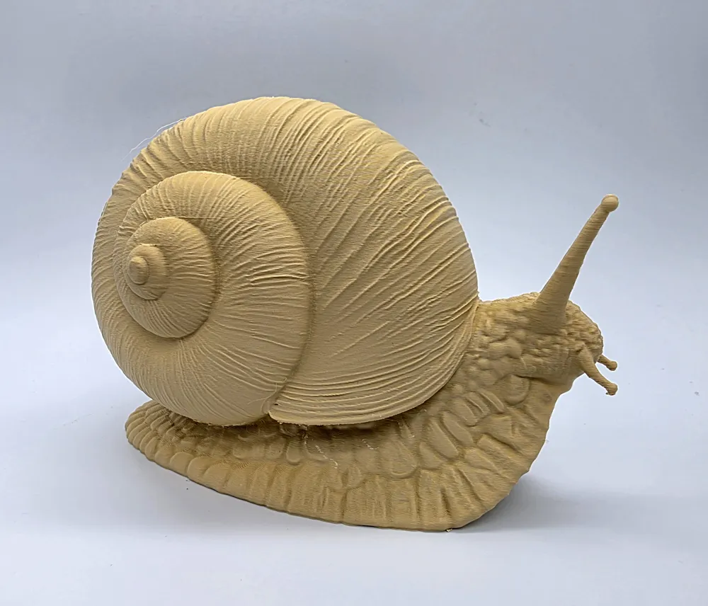 Realistic Snail - Free 3D Print Model - MakerWorld