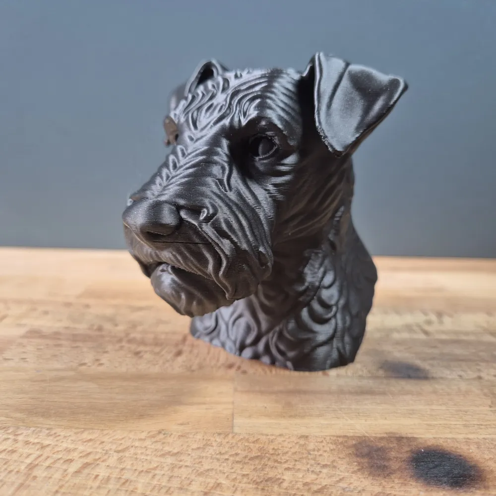 Lakeland Terrier Dog Bust by Mr.Jay MakerWorld: Download Free 3D Models