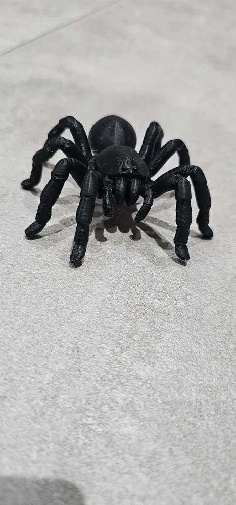 Tarantula Spider by Sellynjoh MakerWorld: Download Free 3D Models