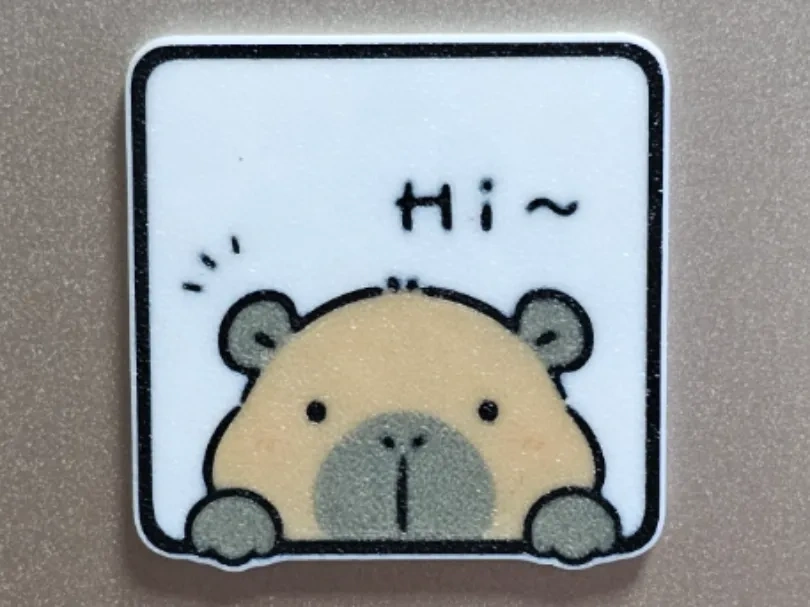 Capybara Refrigerator Magnet Set (6/24) by 狂飙di小猪 - MakerWorld