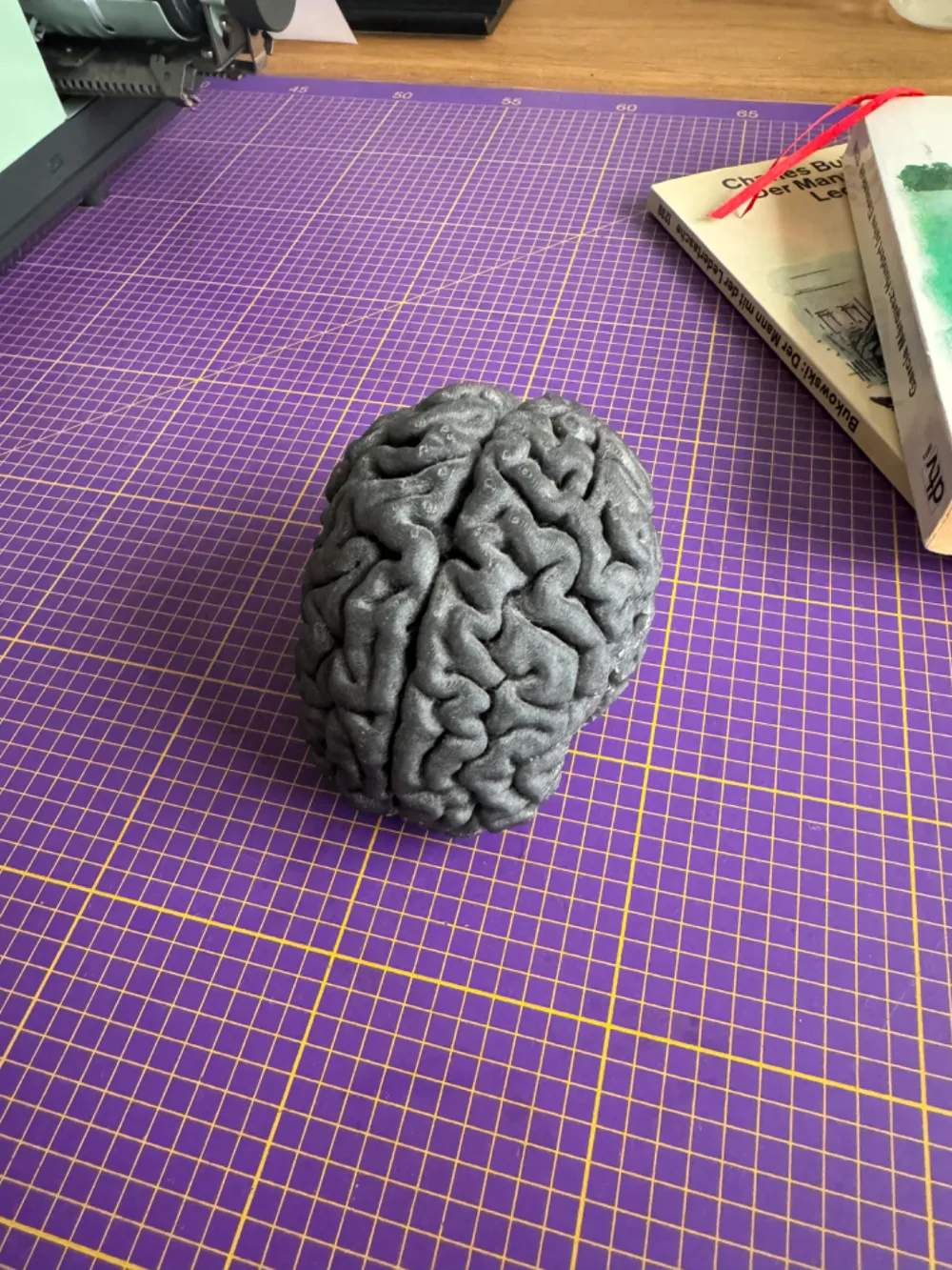 Human Brain by Lasse MakerWorld: Download Free 3D Models