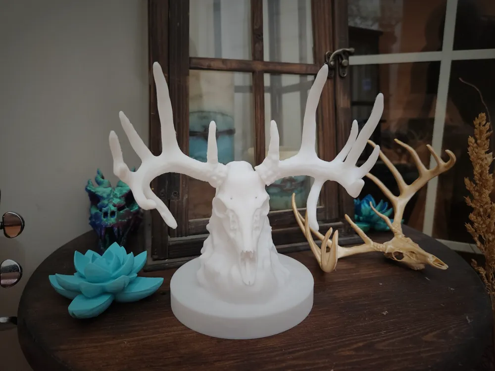 "Trophy Buck" Deer Skull with Base by dtm247 - MakerWorld