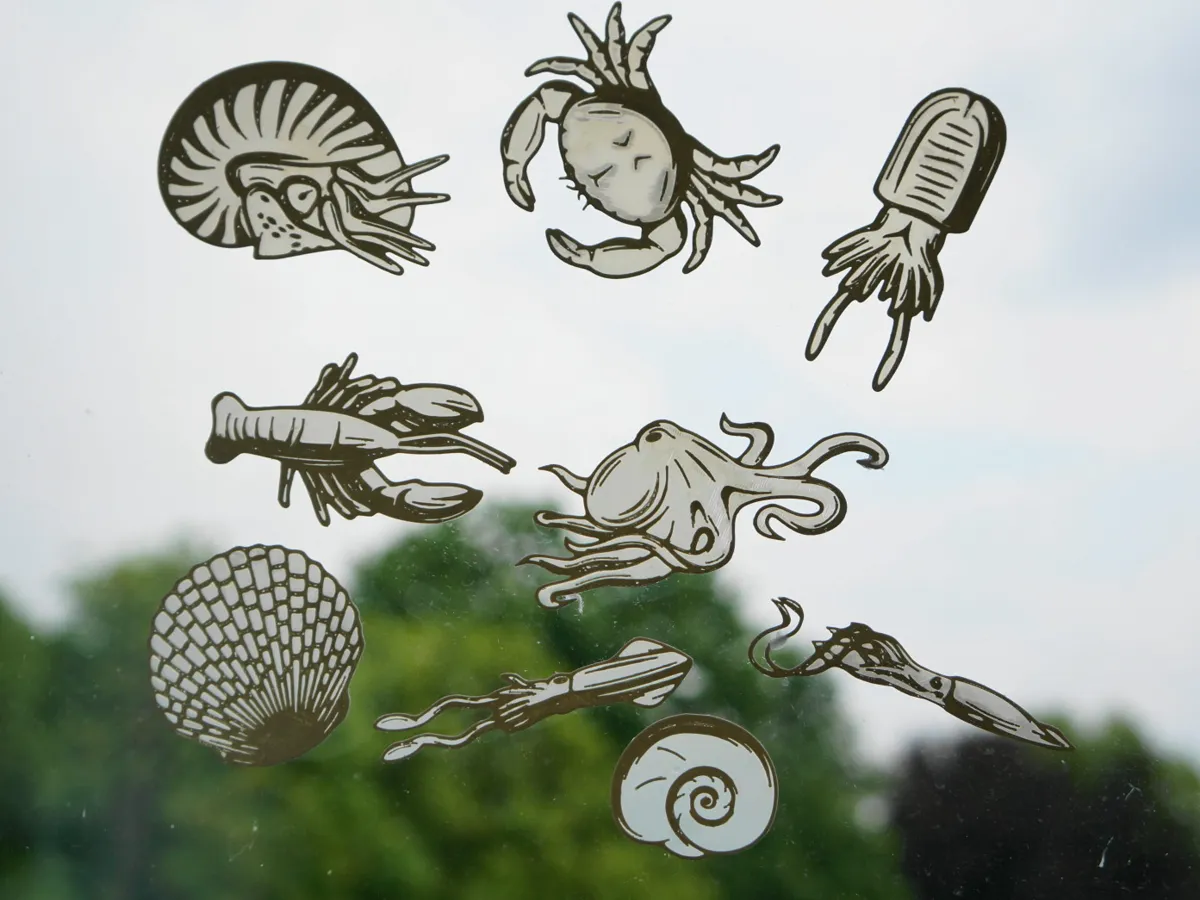 Vida marinha - Modelo gratuito para impressão 3D - MakerWorld