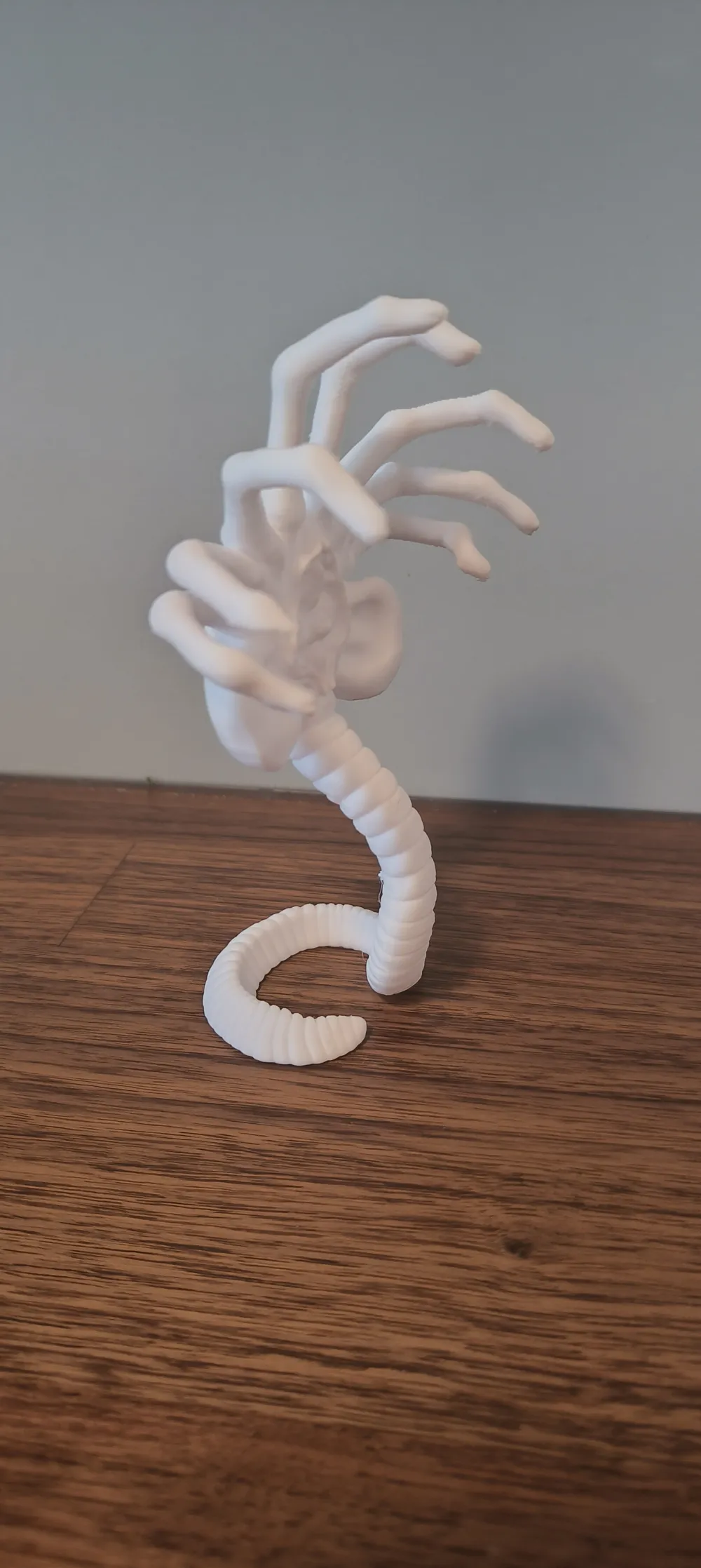 Face-Hugger - Free 3D Print Model - MakerWorld